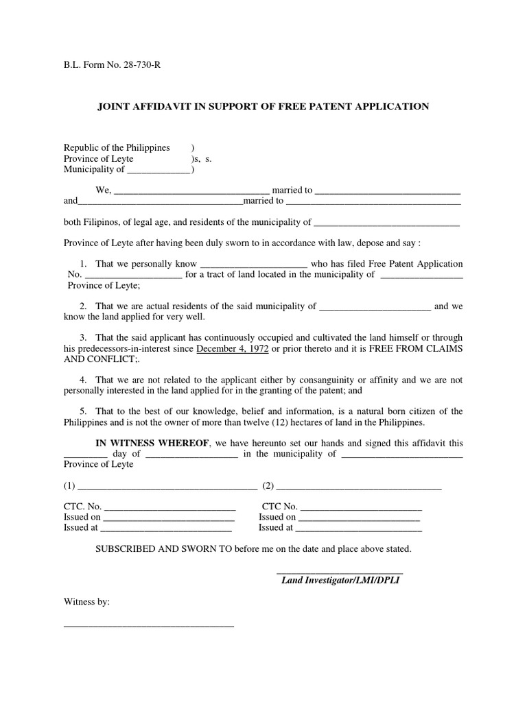Joint Affidavit in Support of Free Patent Application | PDF