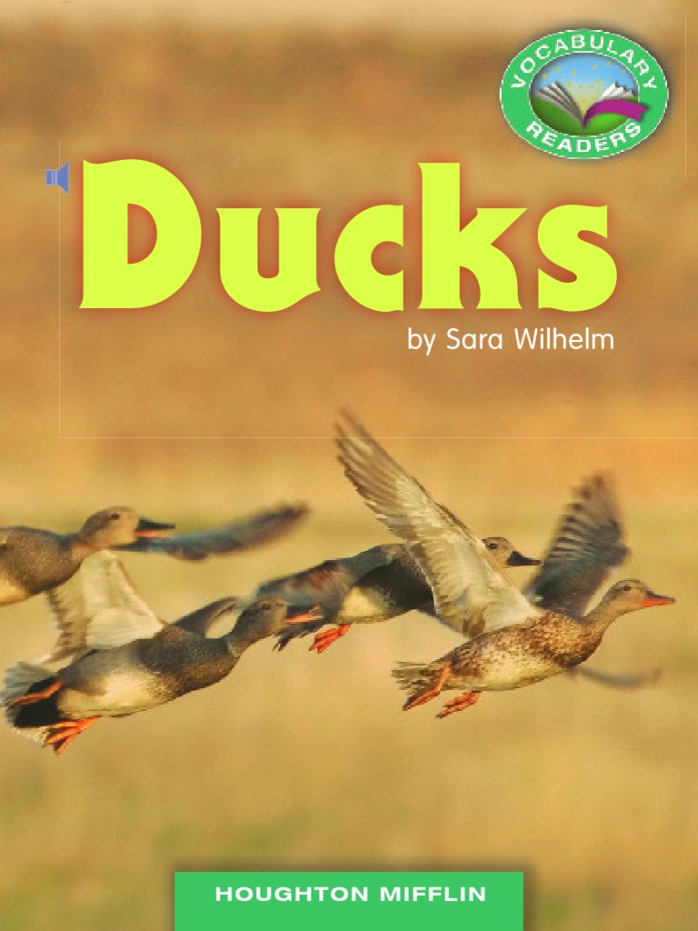 Ducks PDF | PDF | Intellectual Works | Copyright Law
