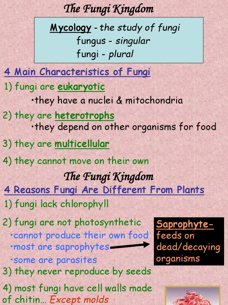 The Fungal Kingdom: A Comprehensive Guide to the Biology ...