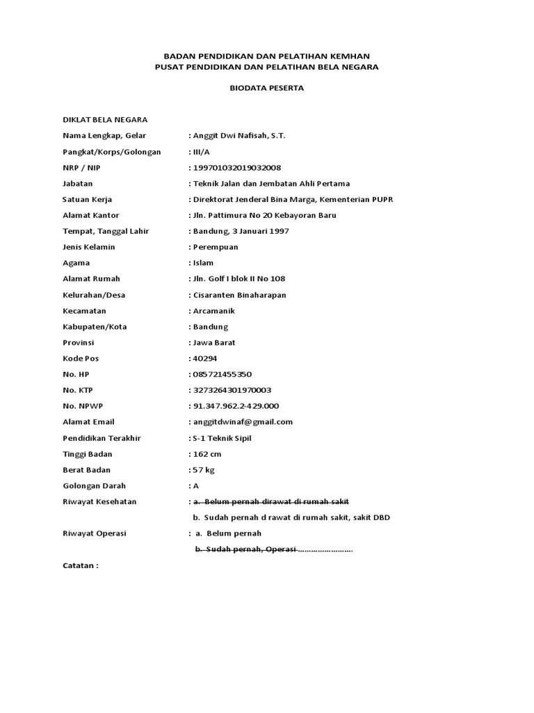 Biodata - Anggit Dwi N - TJJ | PDF