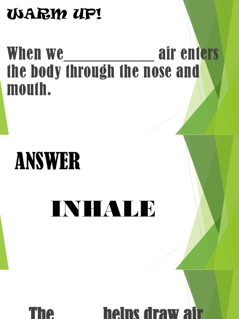 Grade 9 Science Respirstory System | PDF | Respiratory Tract ...