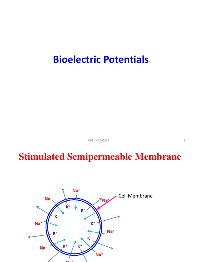 Bioelectric Potentials: Krishna Veni.P 1 | PDF | Action Potential | Myelin