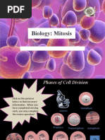 Mitosis Mover Activity Guide | PDF | Mitosis | Chromosome