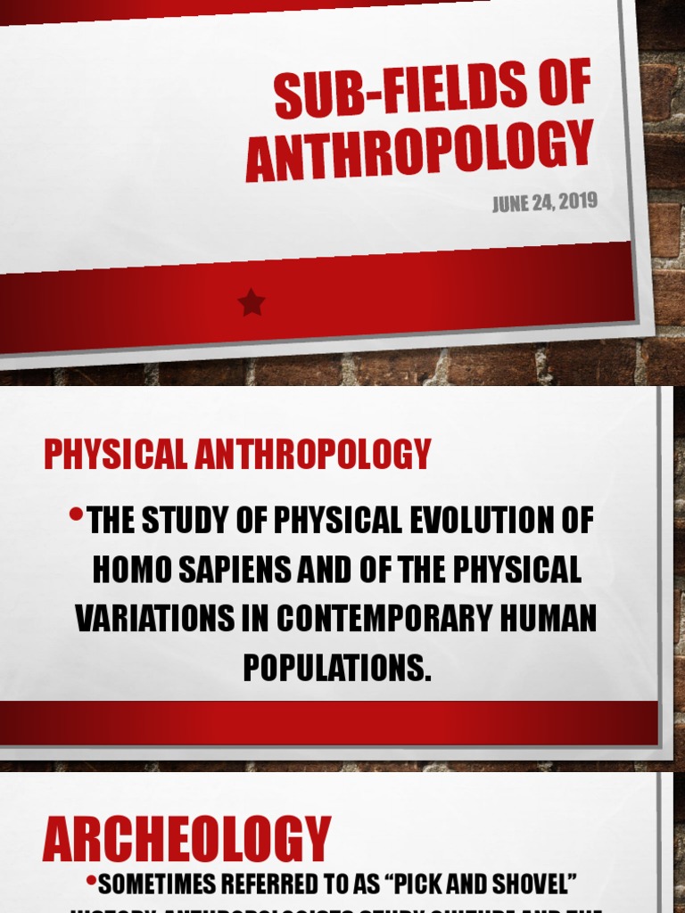 Subfields of Anthropology Explained | PDF