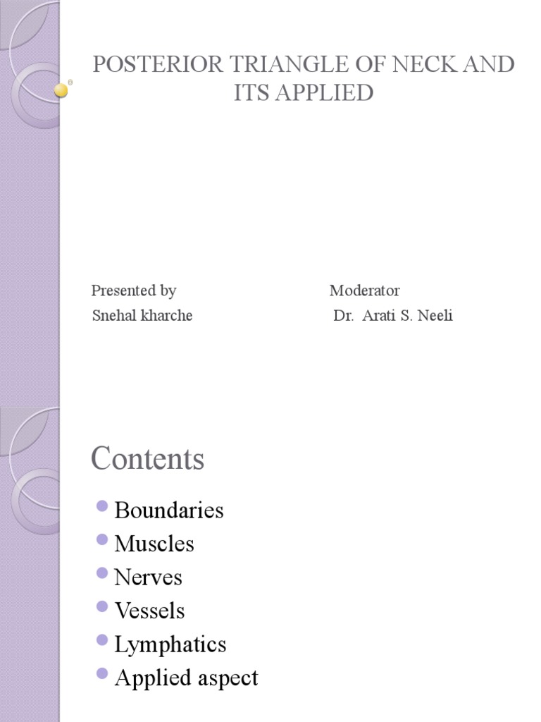Posterior Triangle of Neck and Its Applied | PDF | Neck | Human Anatomy