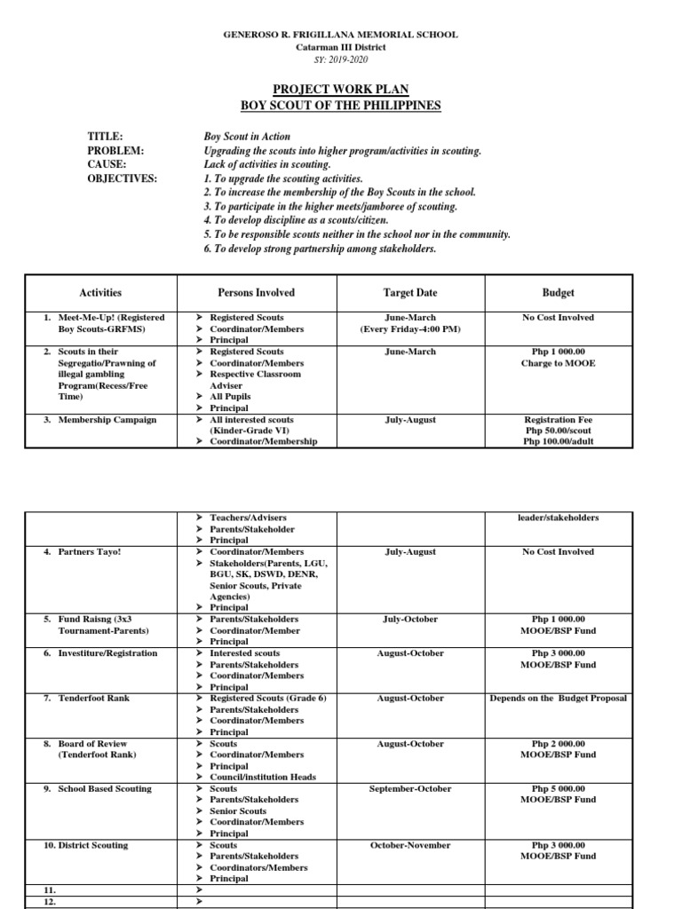 Action Plan | PDF | Scouting