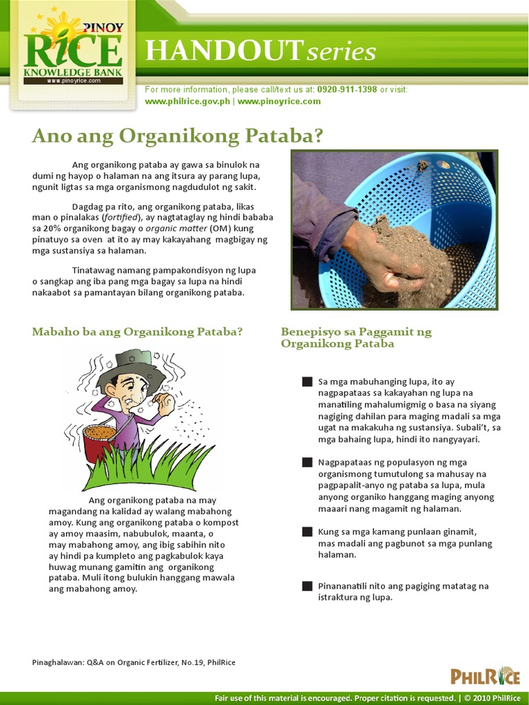 Ano Ang Organikong Pataba | PDF