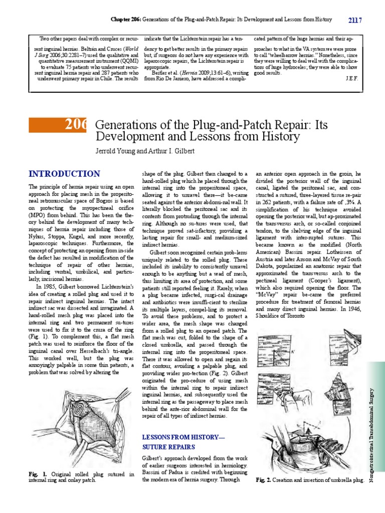 Generations of The Plug-and-Patch Repair: Its Development and Lessons ...