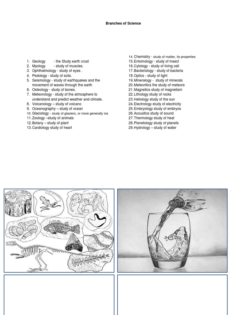 Branches of Science | PDF