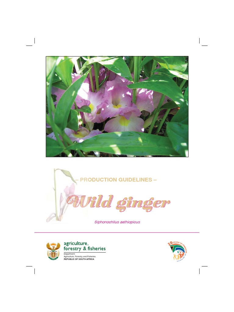 Wild Ginger Production Guidelines | PDF | Ginger | Soil