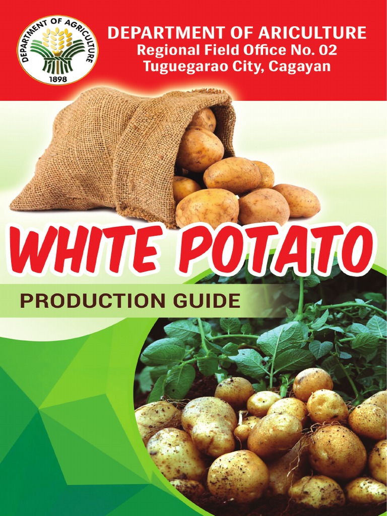 White Potato Production Guide | PDF | Potato | Plough