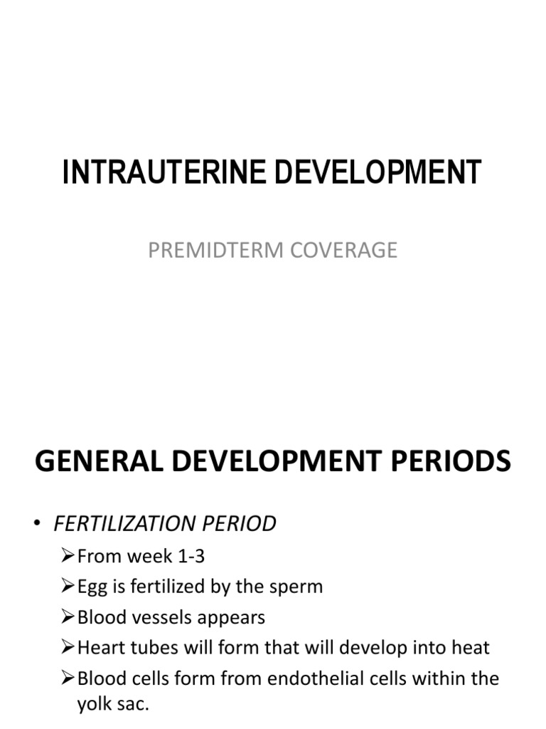 Intrauterine Development: Premidterm Coverage | PDF | Respiratory Tract ...