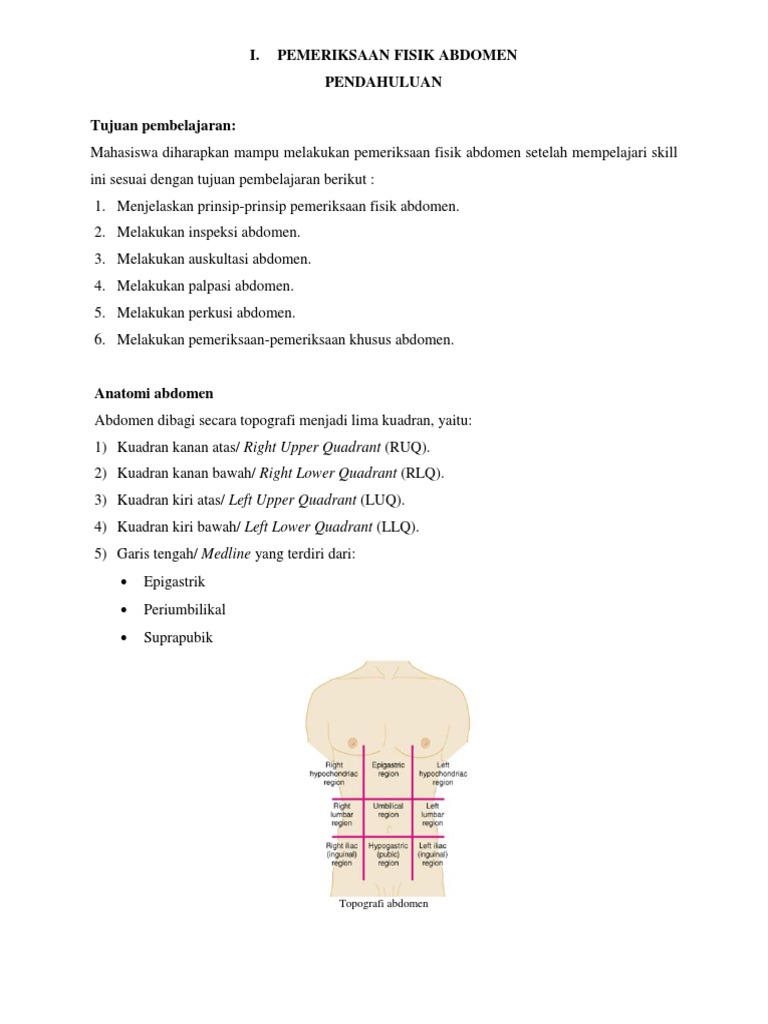 Pemeriksaan Fisik Abdomen | PDF