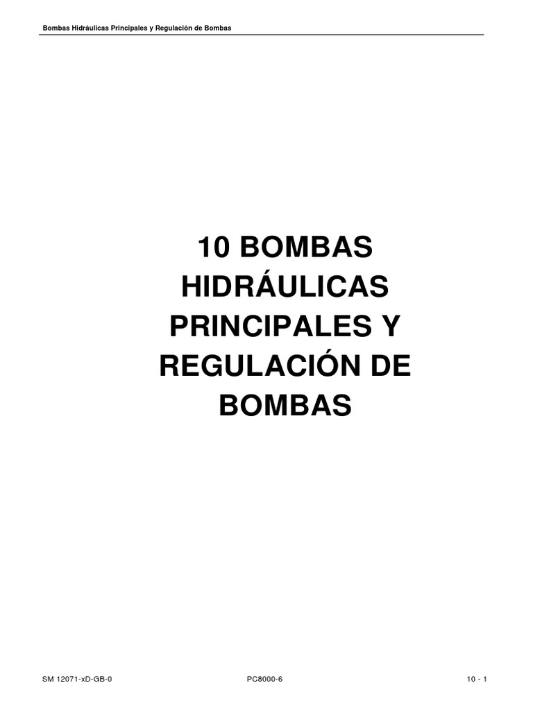 10 Bombas Principales | PDF | Bomba | Pistón