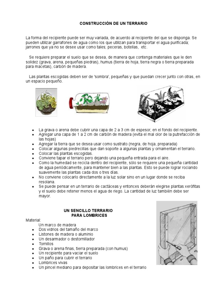 Construcción de Un Terrario | PDF | Suelo | Aluminio