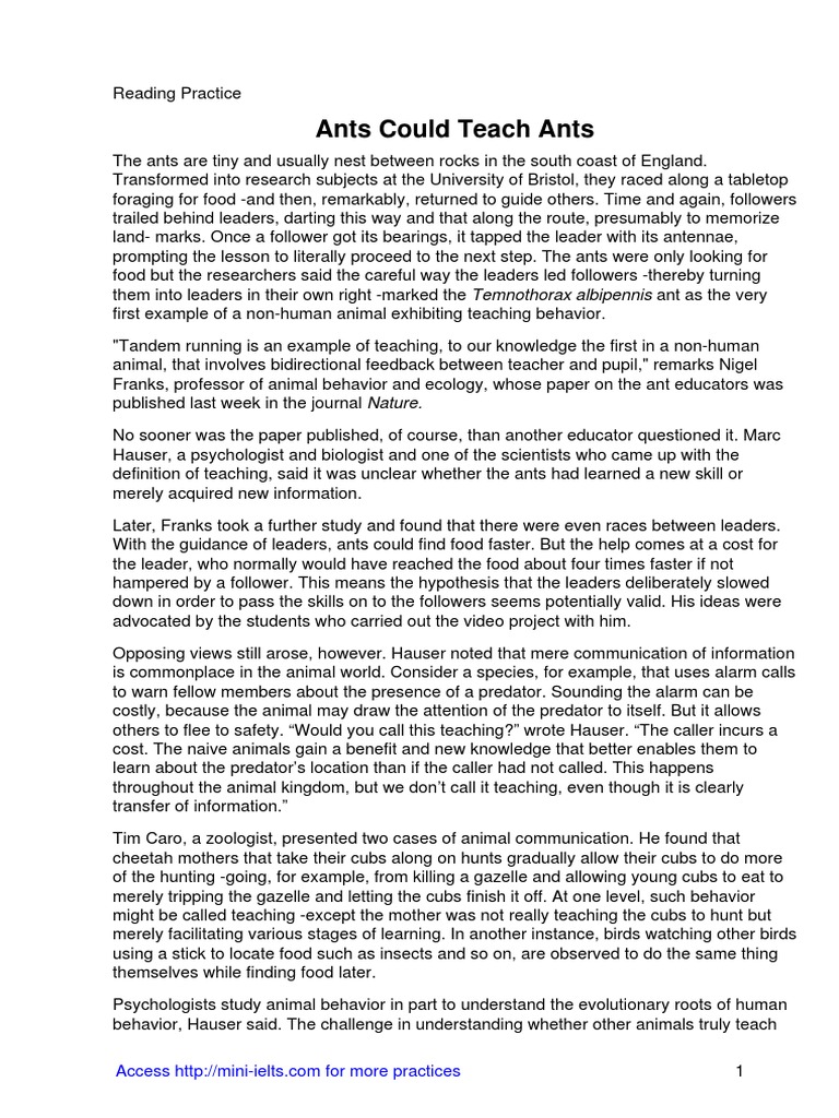 Ants Could Teach Ants | PDF | Learning | Psychological Concepts