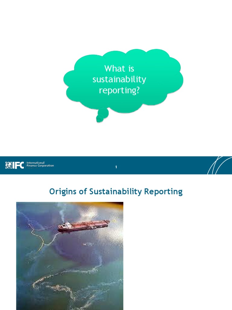 What Is Sustainability Reporting? | Download Free PDF | Sustainability ...