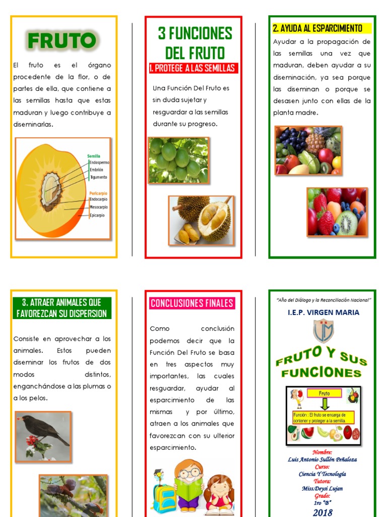 Funciones del Fruto en las Plantas | PDF | Fruta | Interacciones biológicas