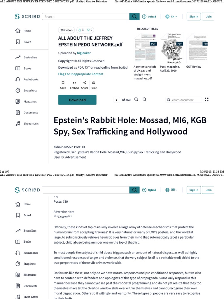 The Epstein File | PDF | Media Technology | Office Software