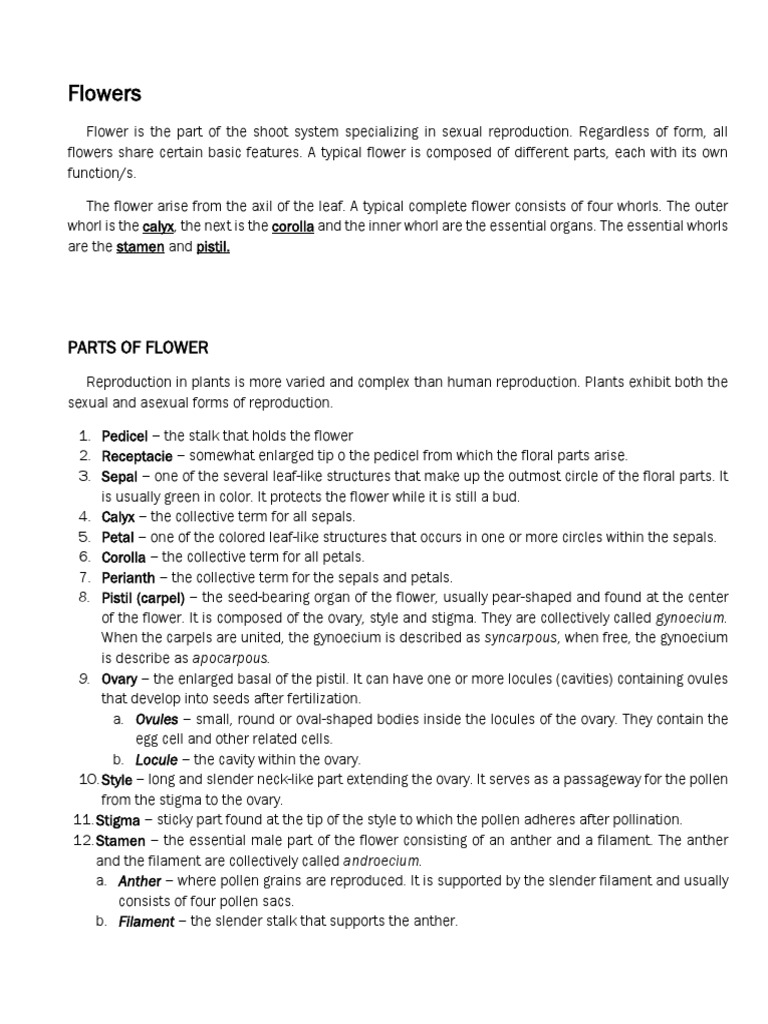 Botany (Flower) | PDF | Fertilisation | Flowers