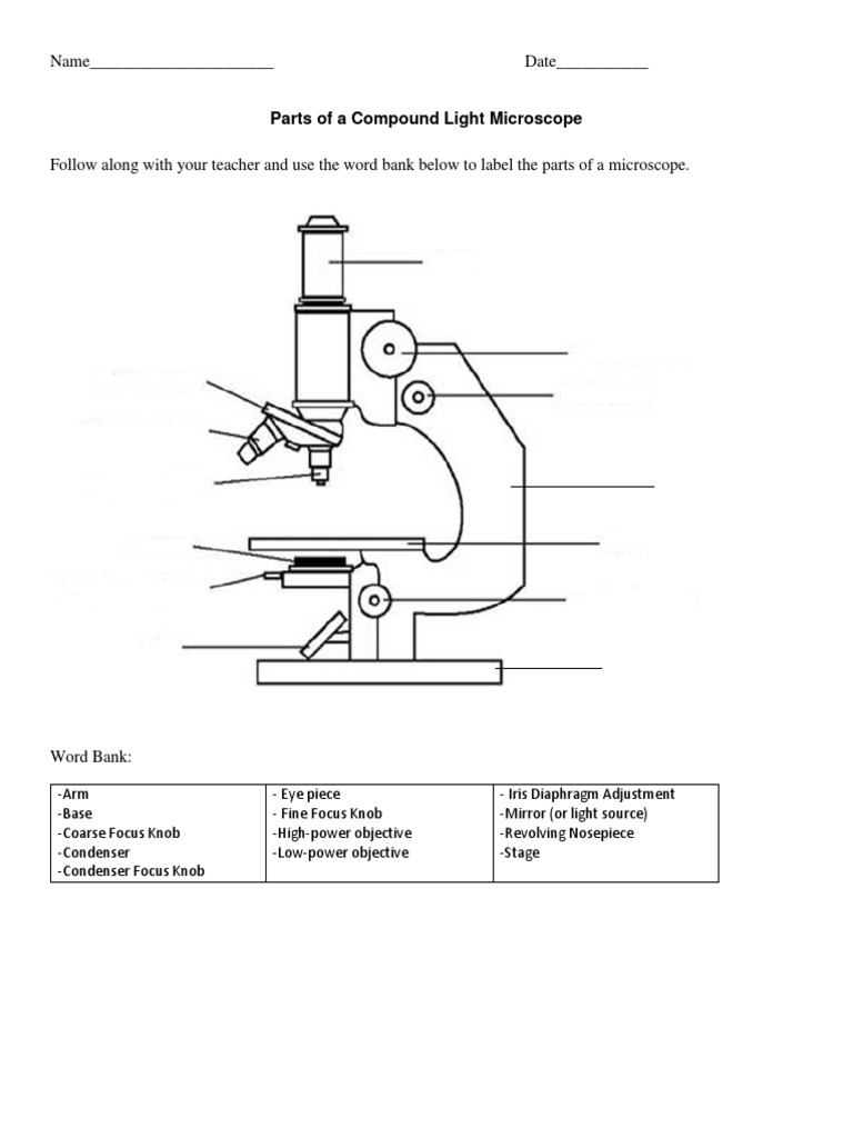 Microscope Quiz | PDF | Laboratory Equipment | Optics
