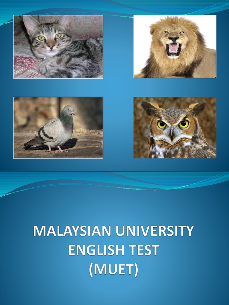 Malaysian University English Test | PDF | International English ...