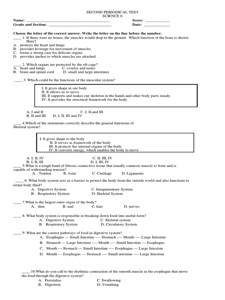 2nd Quarter Science | PDF | Human Body | Circulatory System