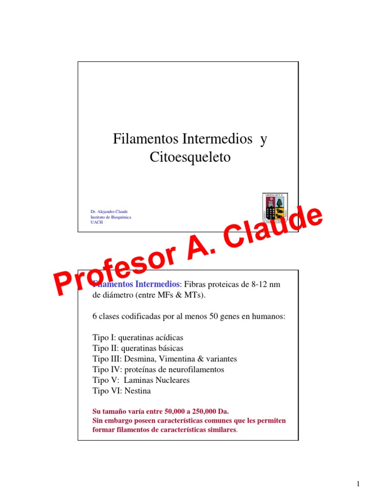 Filamentos Intermedios: Estructura y Función | PDF | Nutrientes ...