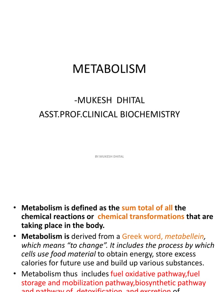 Metabolism 1 | PDF | Metabolic Pathway | Metabolism