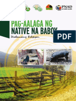 Pagbababuyan | PDF
