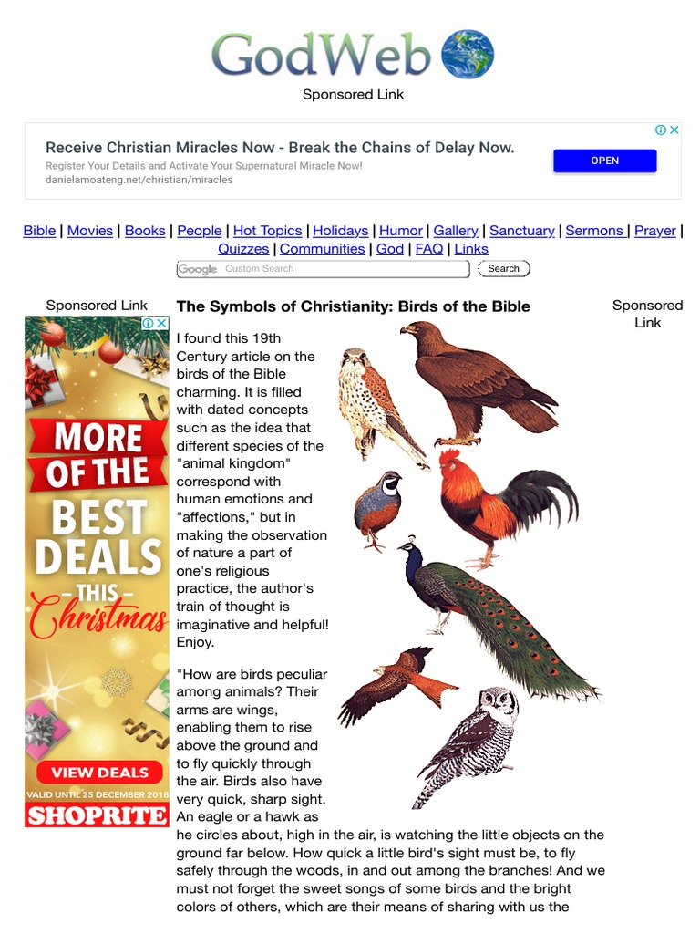 Birds of The Bible | PDF | Thought | Jesus