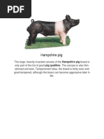 Breed of Swine - Landrace | PDF | Pig | Meat