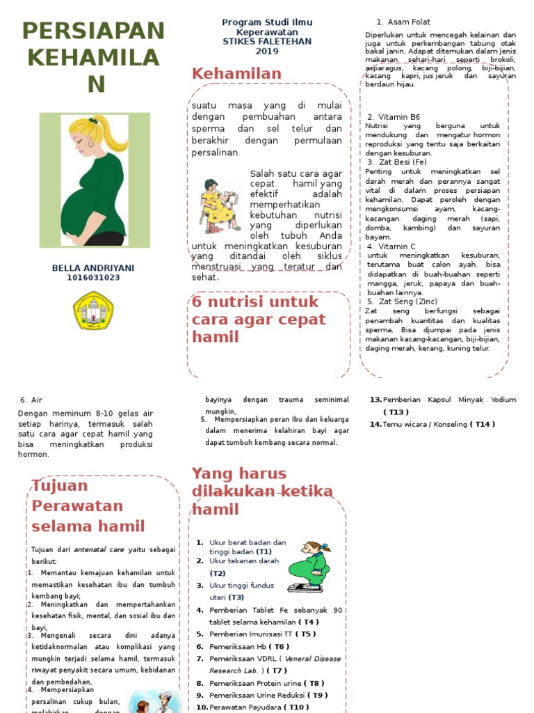 Leaflet Ibu Hamil | PDF