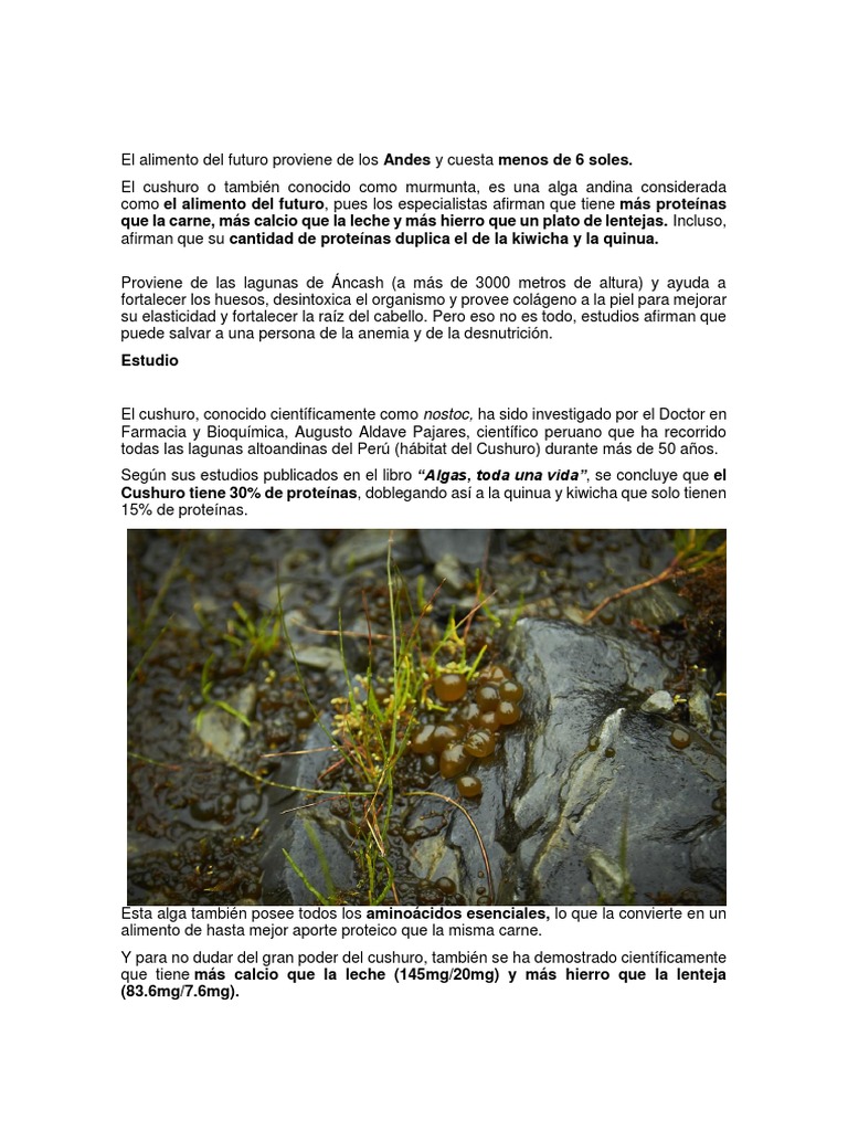 Cushuro: El Alimento Andino Nutritivo | PDF | Nutrición | Dieta y nutrición