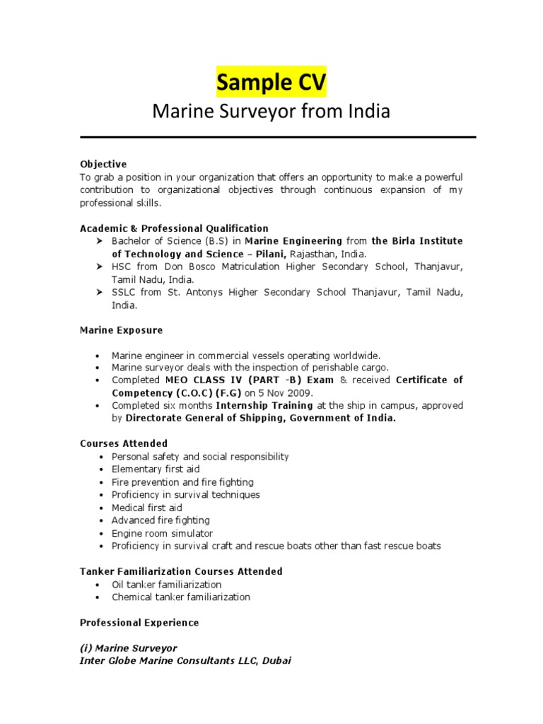 Marine Surveyor Sample CV 1 PDF | PDF | Fuel Oil | Industries