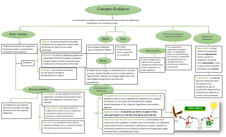 Conceptos Ecologicos | Descargar gratis PDF | Nicho ecológico | Ecología