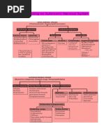 Topical Steroid Potency Chart | PDF