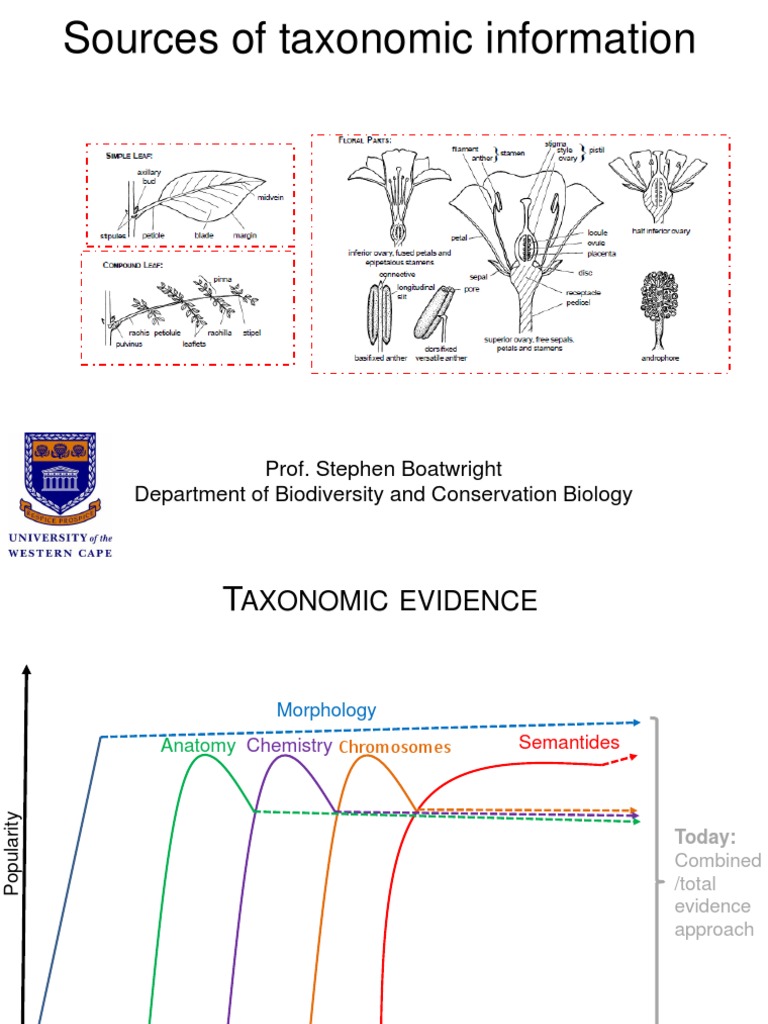 Sources of Taxonomic Information | PDF | Hybrid (Biology) | Proteins