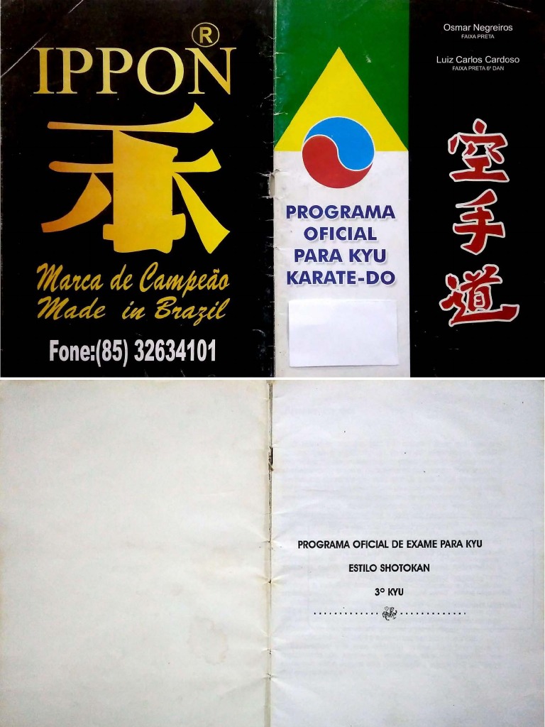 3° KYU Programa Oficial para Kyu Karate-Do PDF | PDF
