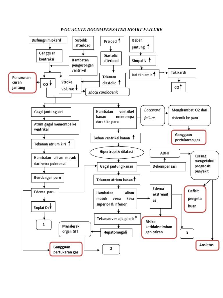 Woc Adhf Kel KGD | PDF