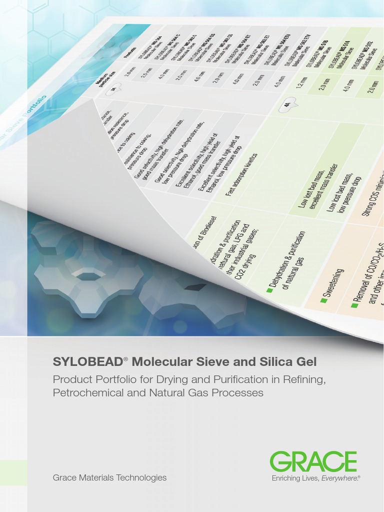 Sylobead Portfolio BR E 130118 PDF | PDF | Adsorption | Chemical Industry