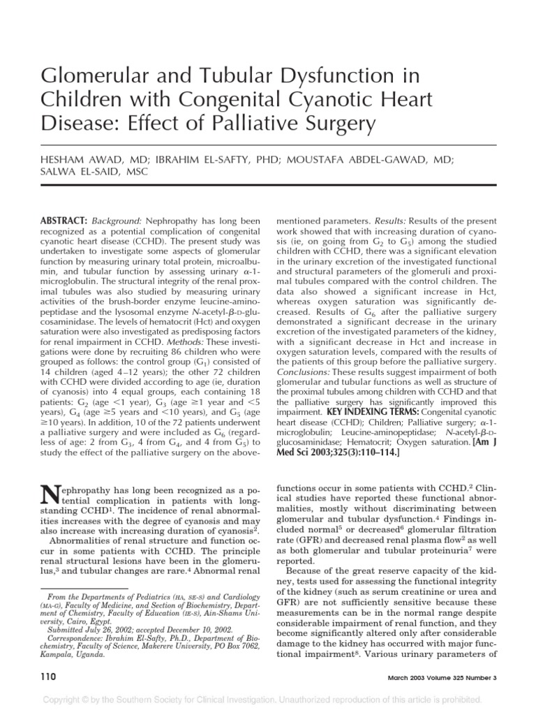Awad 2003 | PDF | Renal Function | Kidney