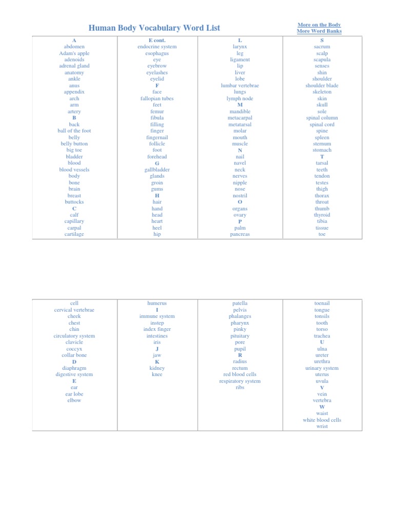 Human Body Vocabulary Word List | PDF | Human Body | Abdomen