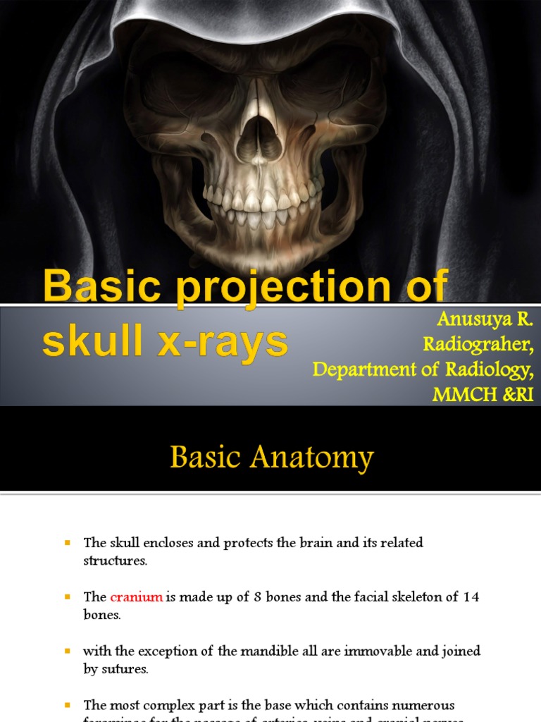 Skull Anatomy and X-ray Positioning Guide | PDF | Skull ...