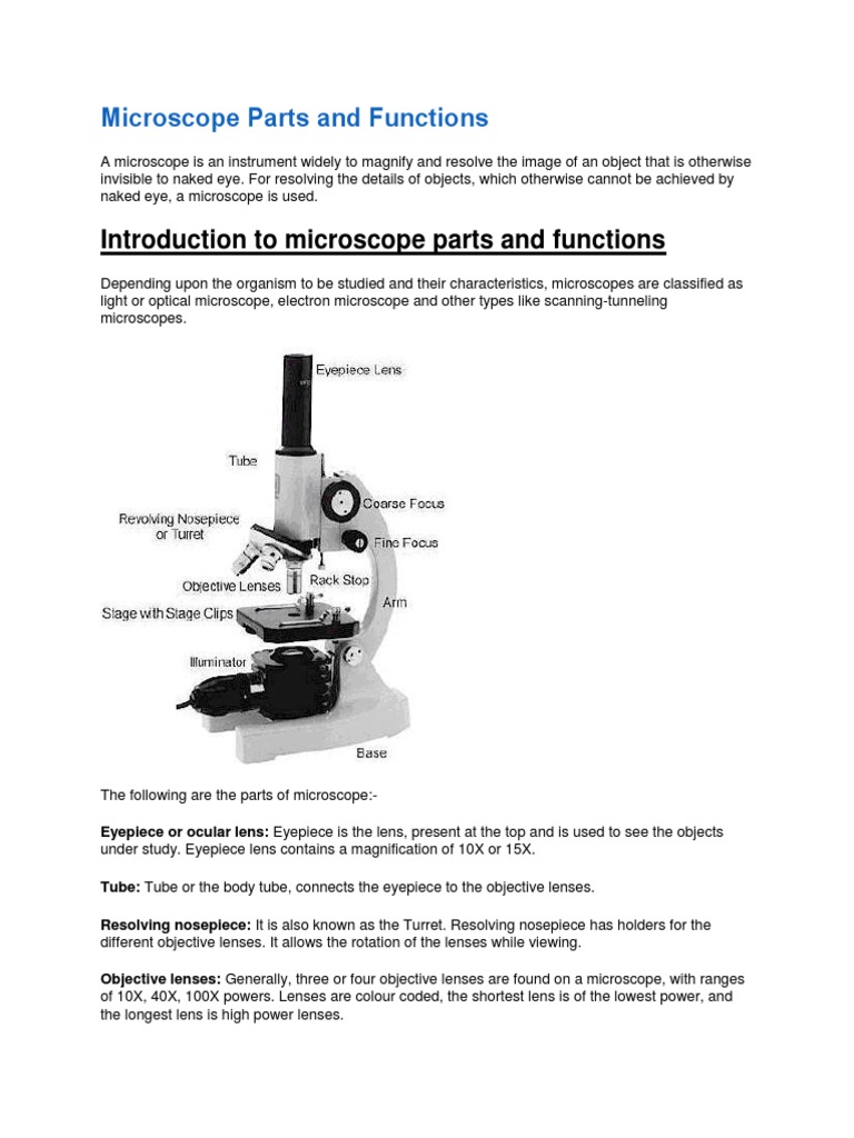 Microscope Parts and Their Functions | PDF