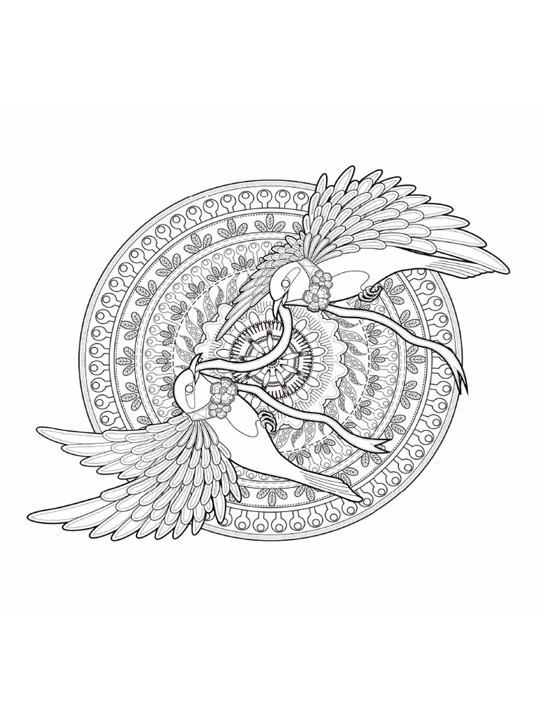 Mindfulness Coloring PDF Birds | PDF