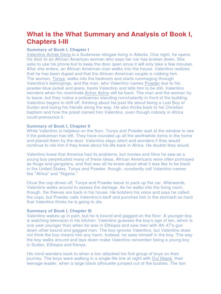 What Is The What Summary and Analysis of Book I | PDF | History ...
