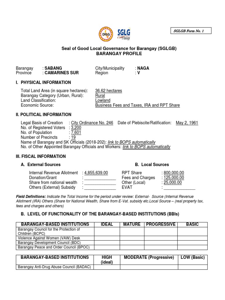 SGLGB Form 1 Barangay Profile 1 | PDF | Tap Water | Drinking Water