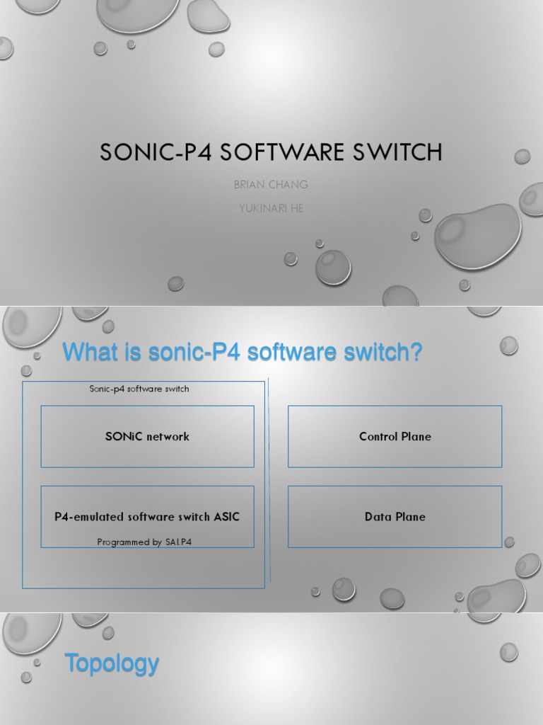 Sonic p4 Software Switch | PDF