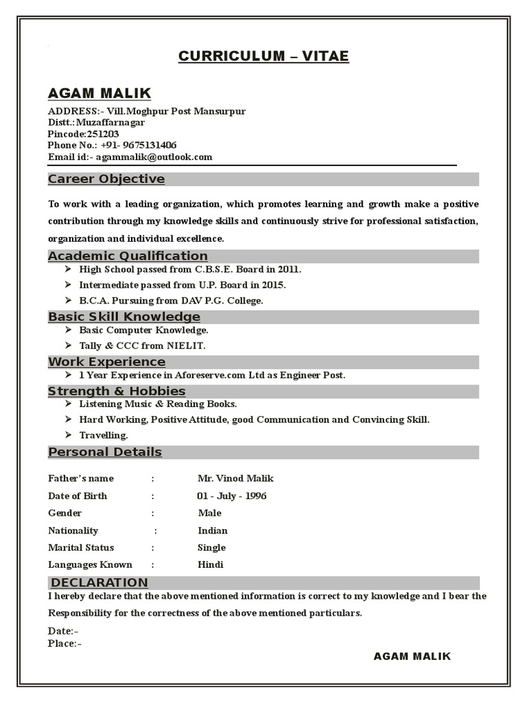 Curriculum - Vitae Agam Malik: Career Objective | PDF